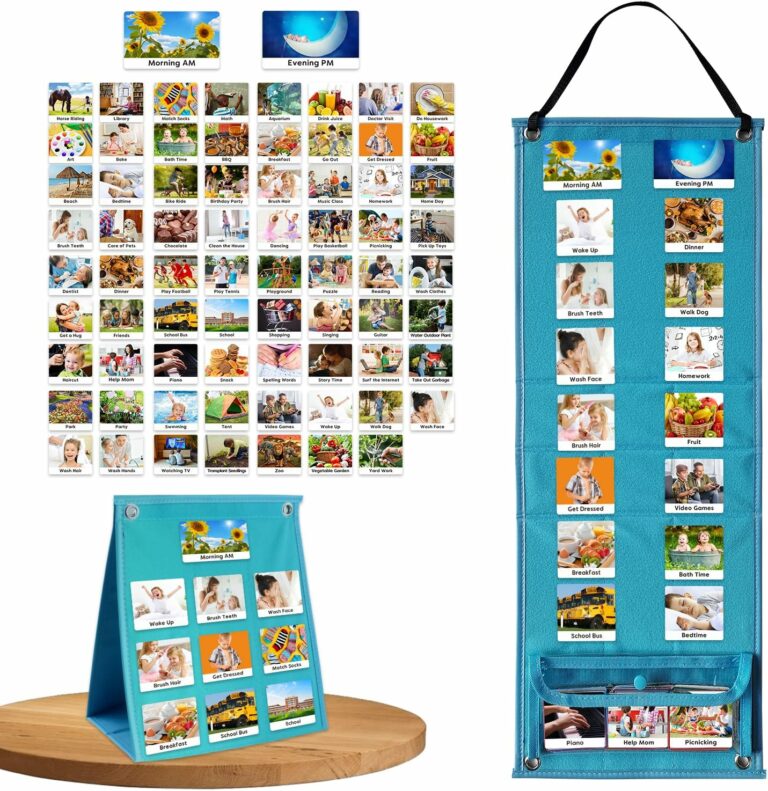 Daily Visual Schedule Board | Stacys Sensory Solutions