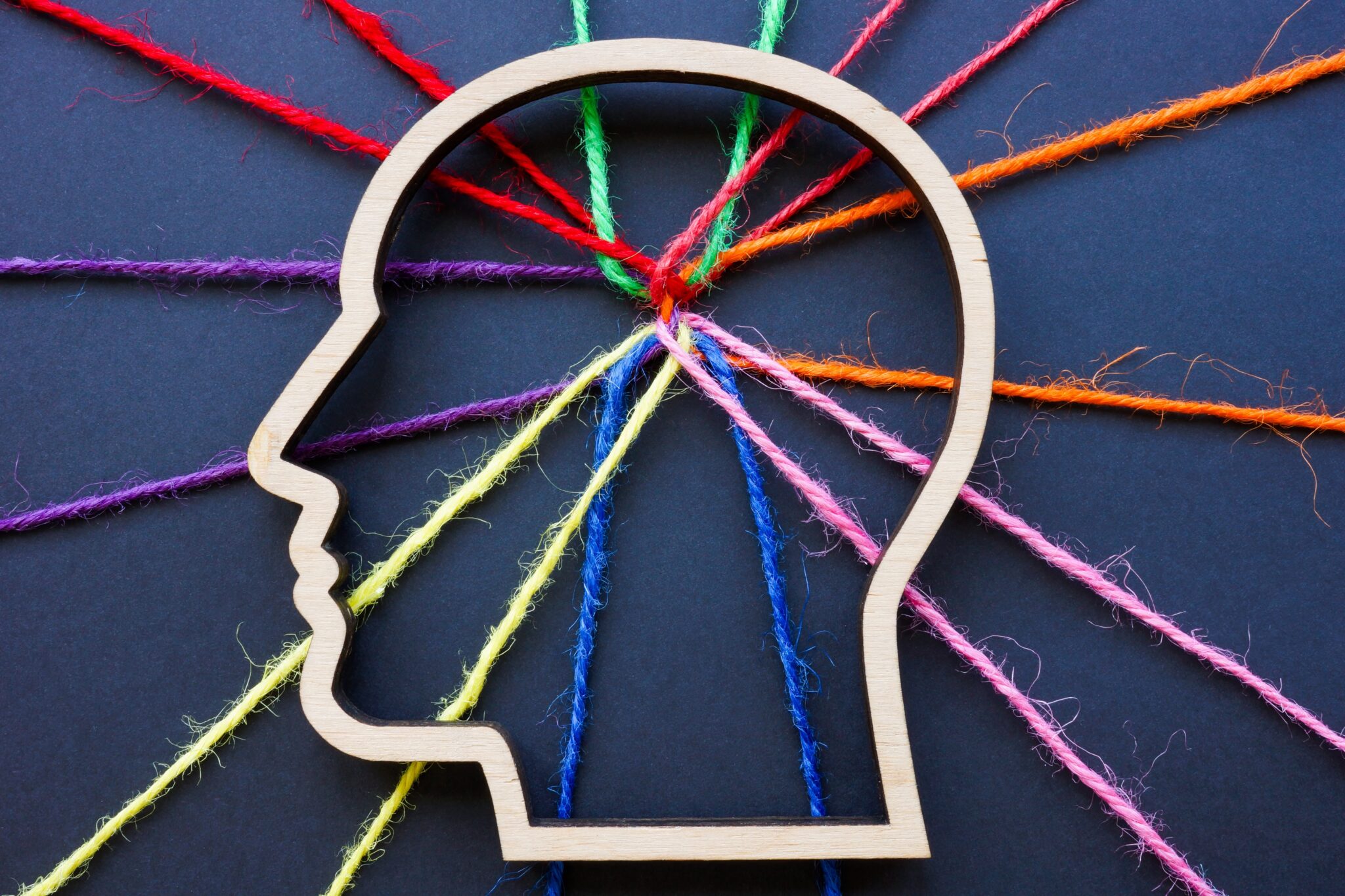 Home | Stacys Sensory Solutions