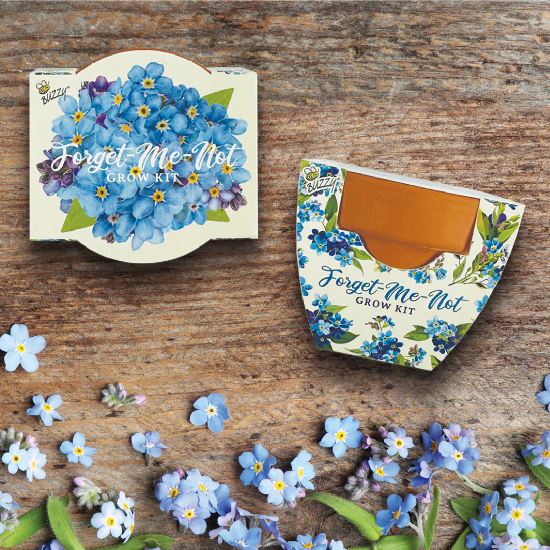 Emotional Support Forget Me Not Mini Grow Kit | Stacys Sensory Solutions